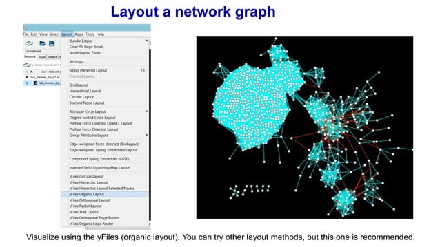 Metabolic Network Mapping Exericse Pptx Chemistry Science