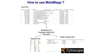 Metabolic Network Mapping Exericse | PPTX