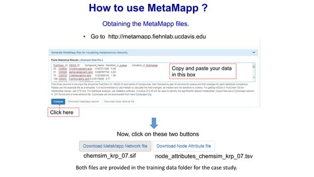 Metabolic Network Mapping Exericse Pptx Chemistry Science
