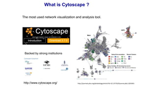 Metabolic Network Mapping Exericse | PPTX