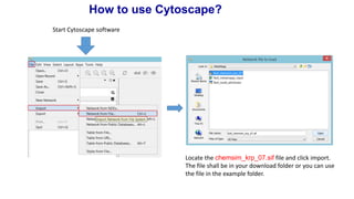 Metabolic Network Mapping Exericse | PPTX