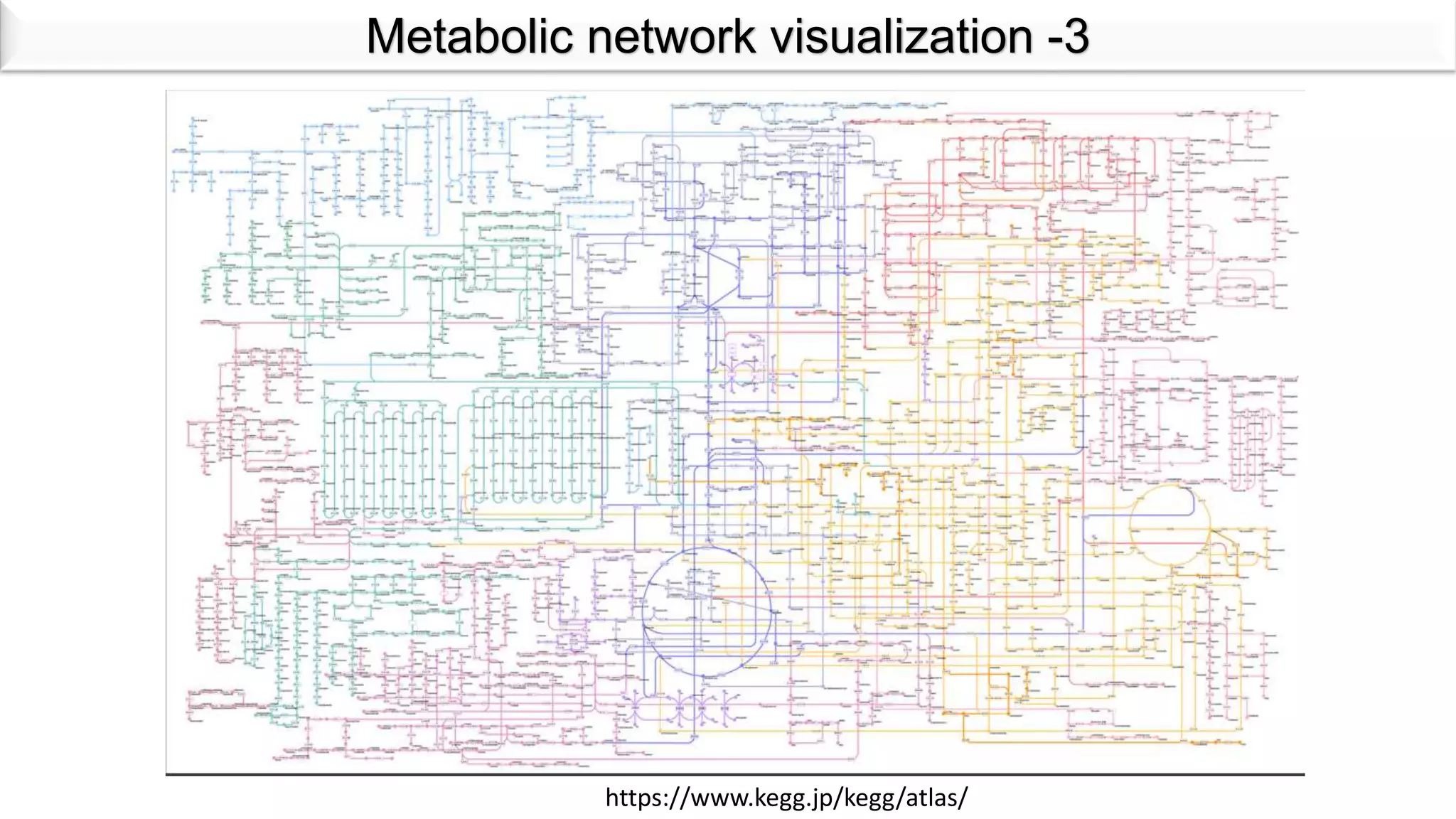Metabolic Network Visualization Concepts Pptx
