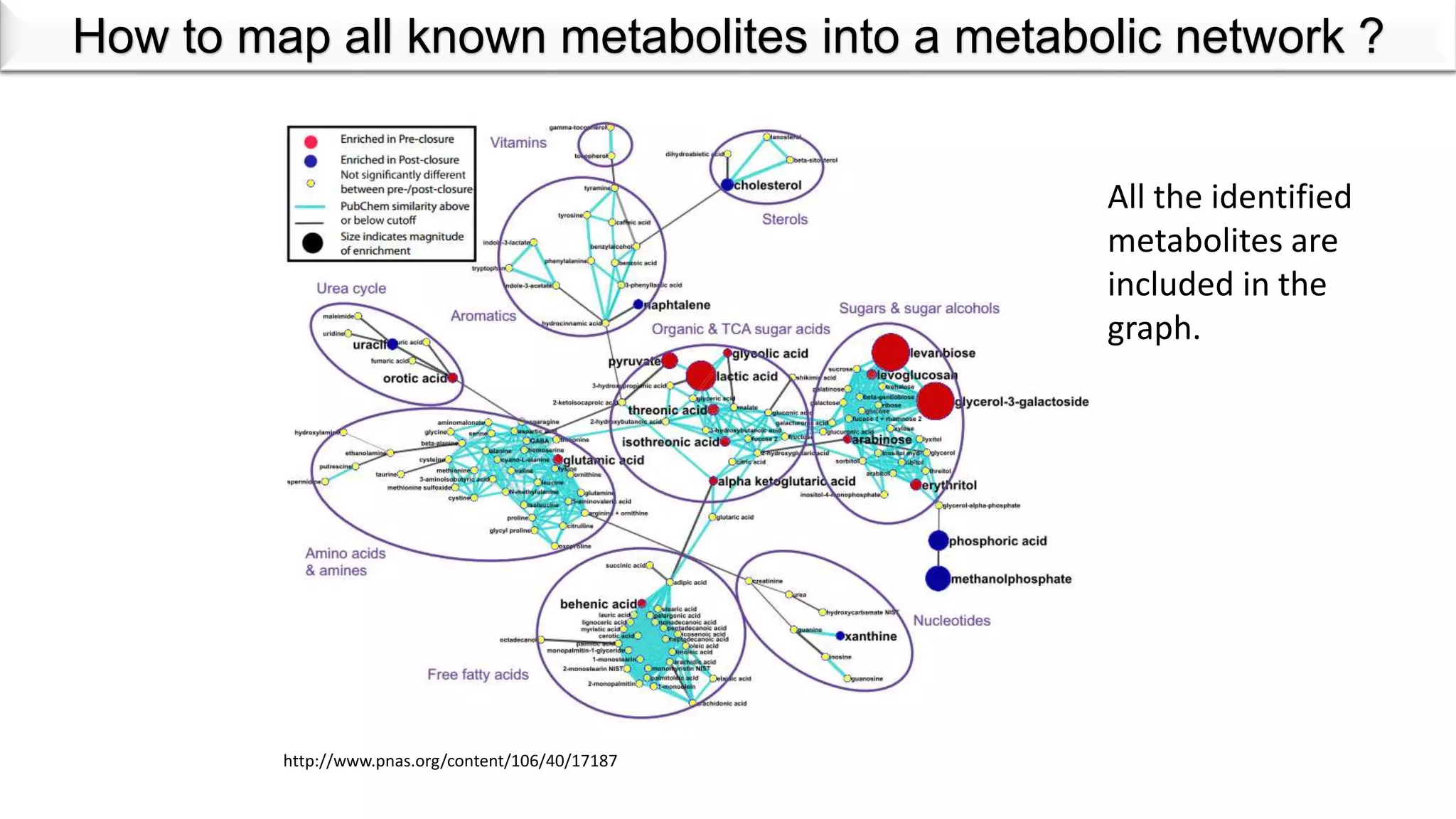 Metabolic Network Visualization Concepts Pptx