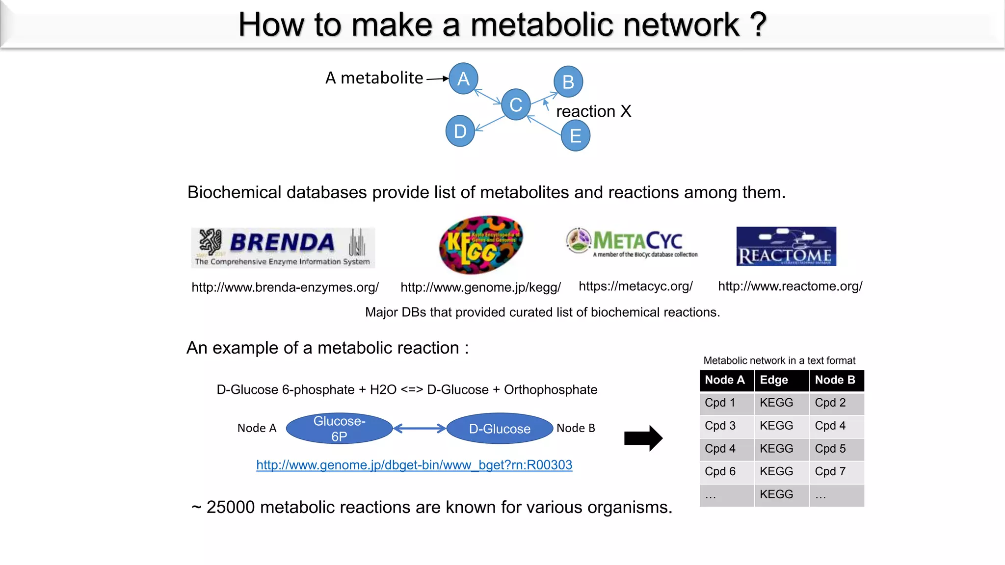 Metabolic Network Visualization Concepts Pptx