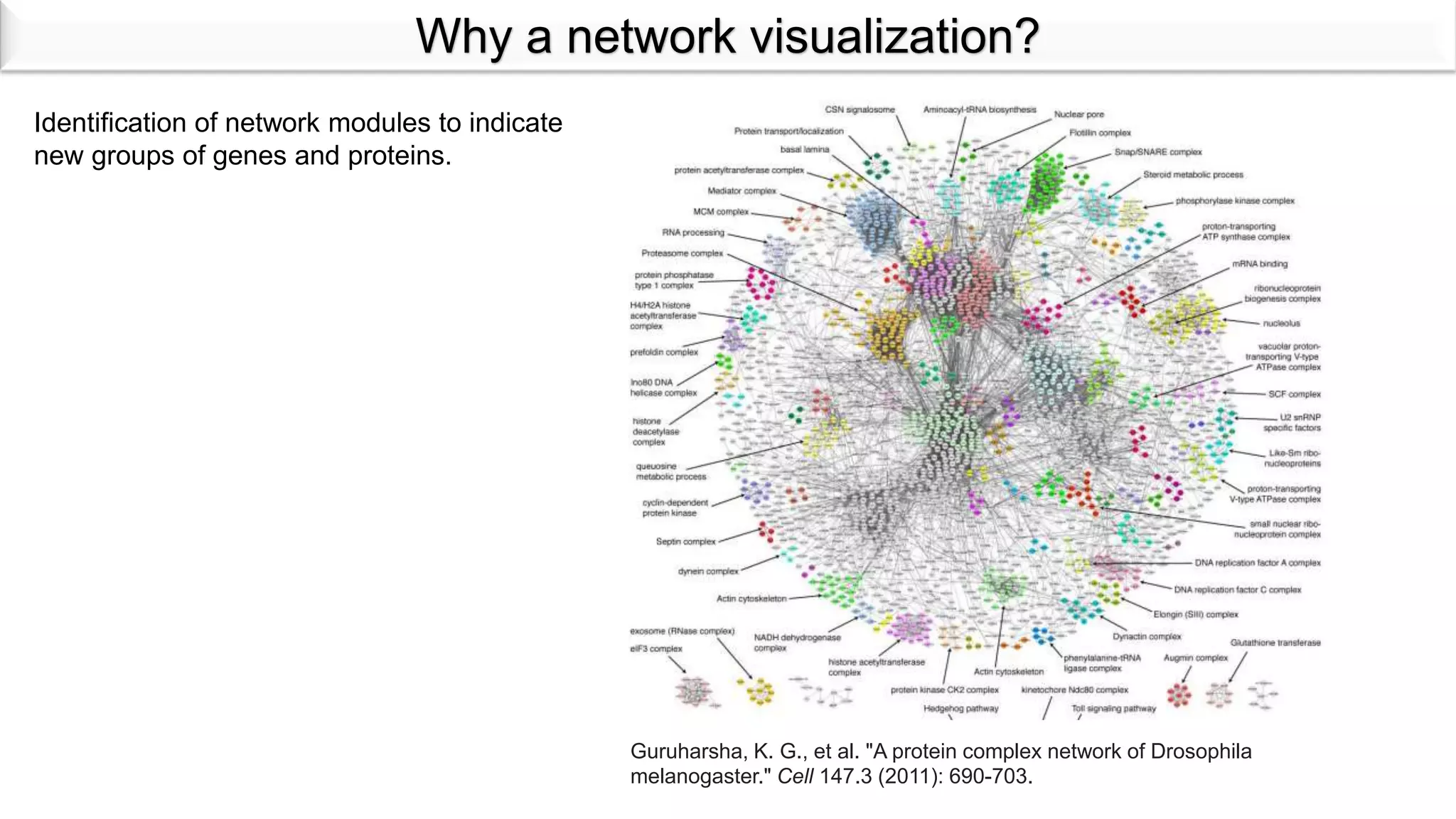 Metabolic Network Visualization Concepts Pptx