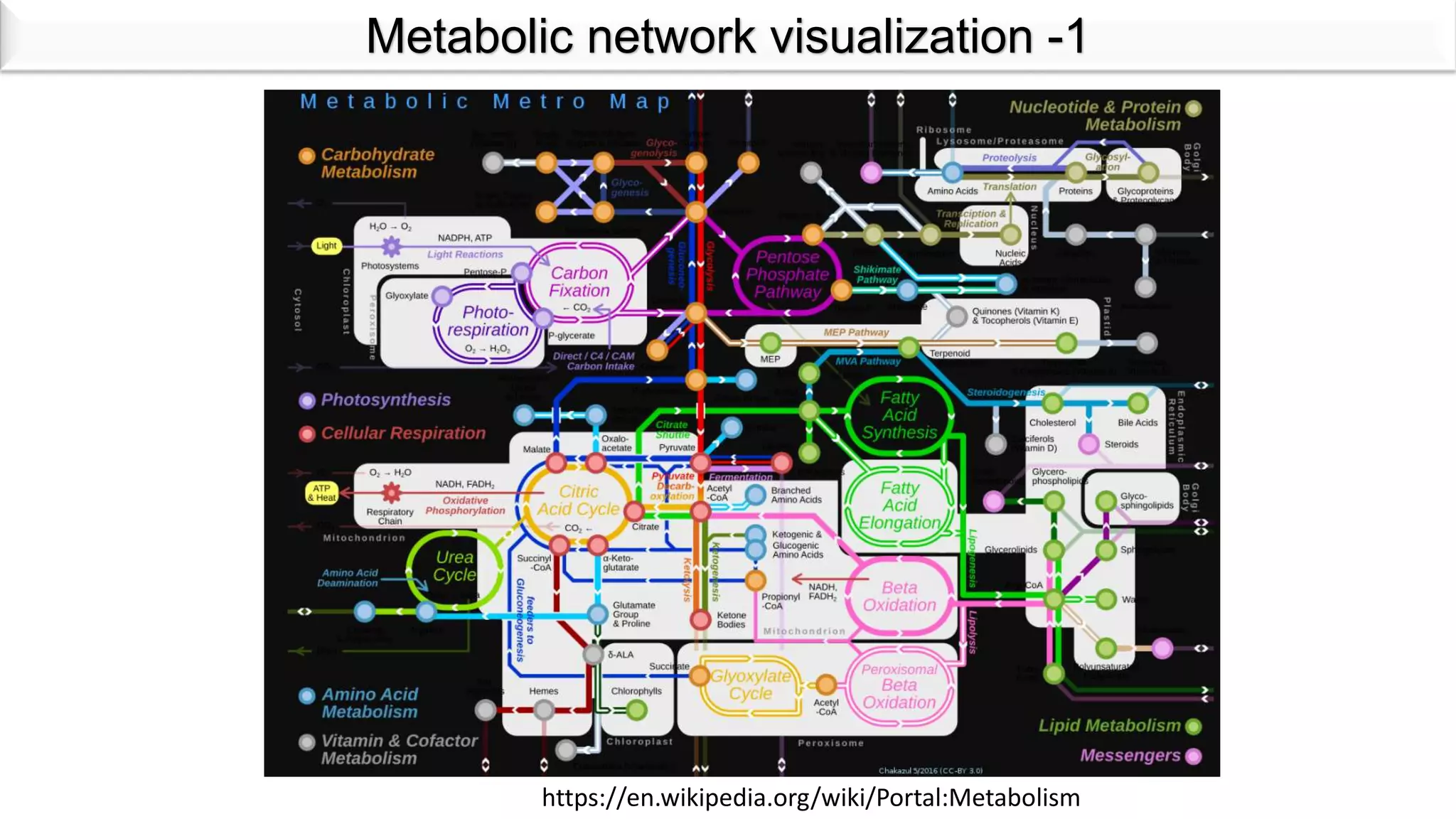 Metabolic Network Visualization Concepts Pptx