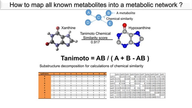 Metabolic Network Visualization Concepts Pptx