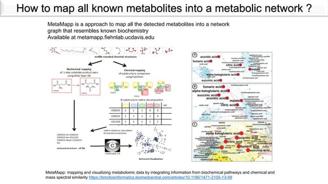 Metabolic Network Visualization Concepts Pptx