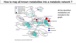 Metabolic network visualization - concepts | PPTX
