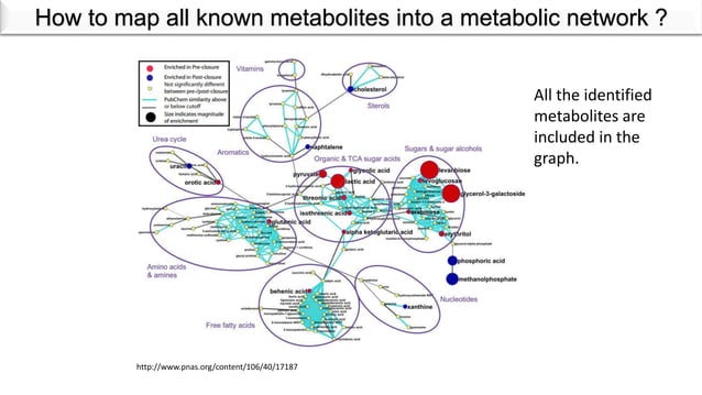 Metabolic Network Visualization Concepts Pptx