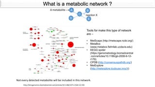Metabolic network visualization - concepts | PPTX