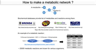 Metabolic network visualization - concepts | PPTX