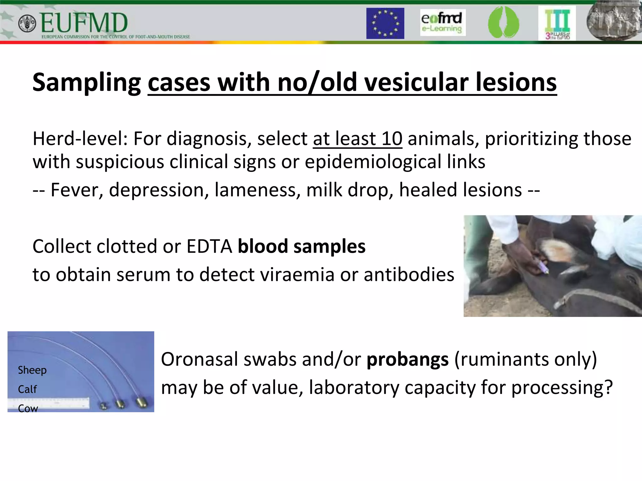 Laboratory diagnosis and sampling Uganda Training Course | PPTX ...