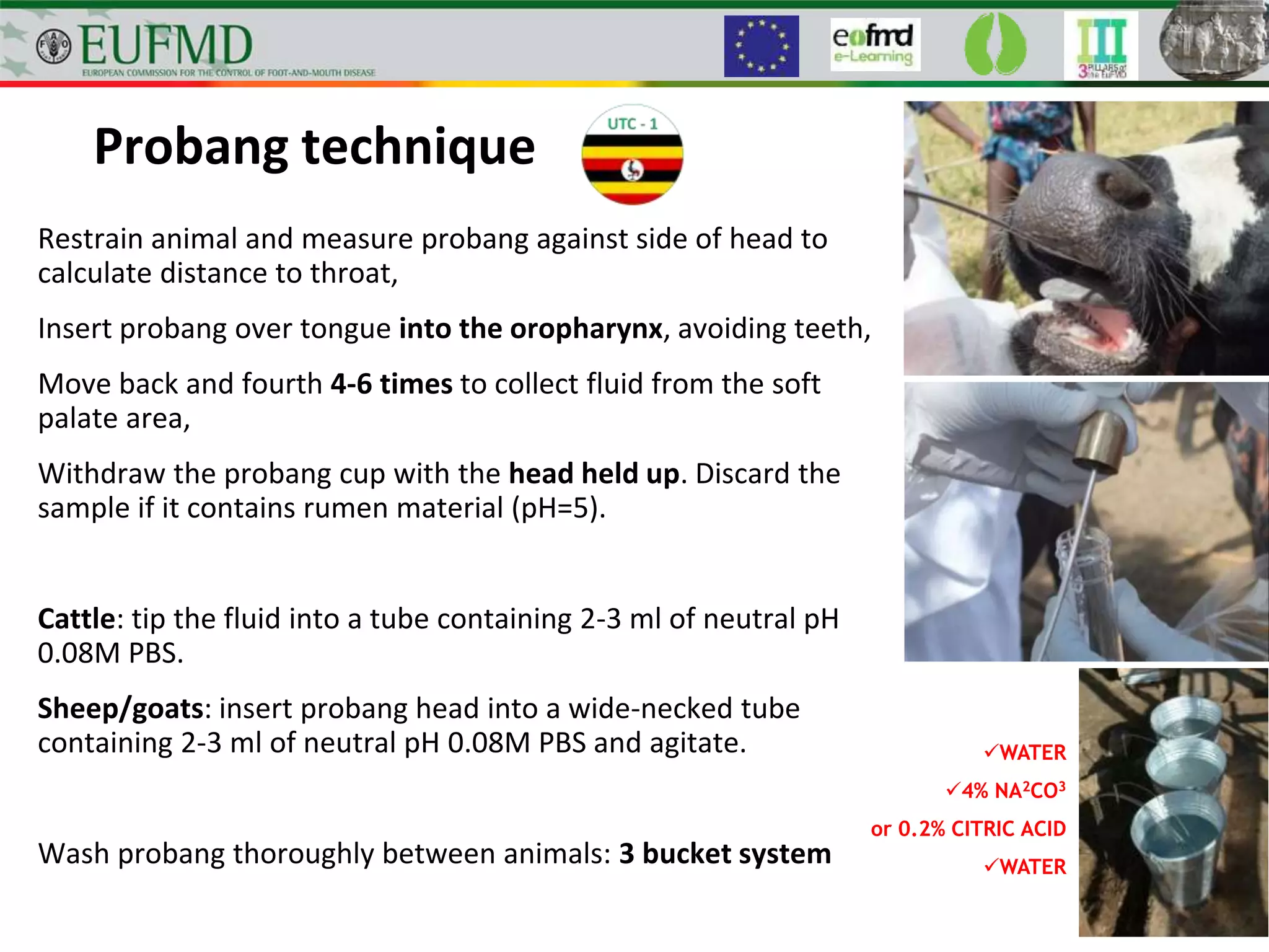 Laboratory diagnosis and sampling Uganda Training Course | PPTX