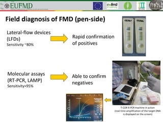 Laboratory diagnosis and sampling Uganda Training Course | PPTX