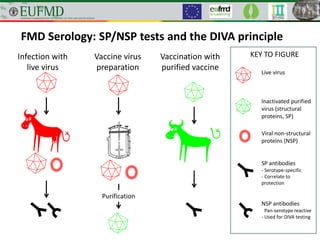 Laboratory diagnosis and sampling Uganda Training Course | PPTX