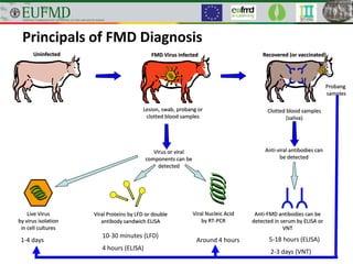 Laboratory diagnosis and sampling Uganda Training Course | PPTX