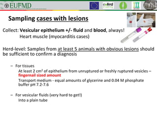 Laboratory diagnosis and sampling Uganda Training Course | PPTX