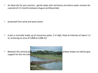 5.2 fish spawn rearing in rearing ponds | PPT