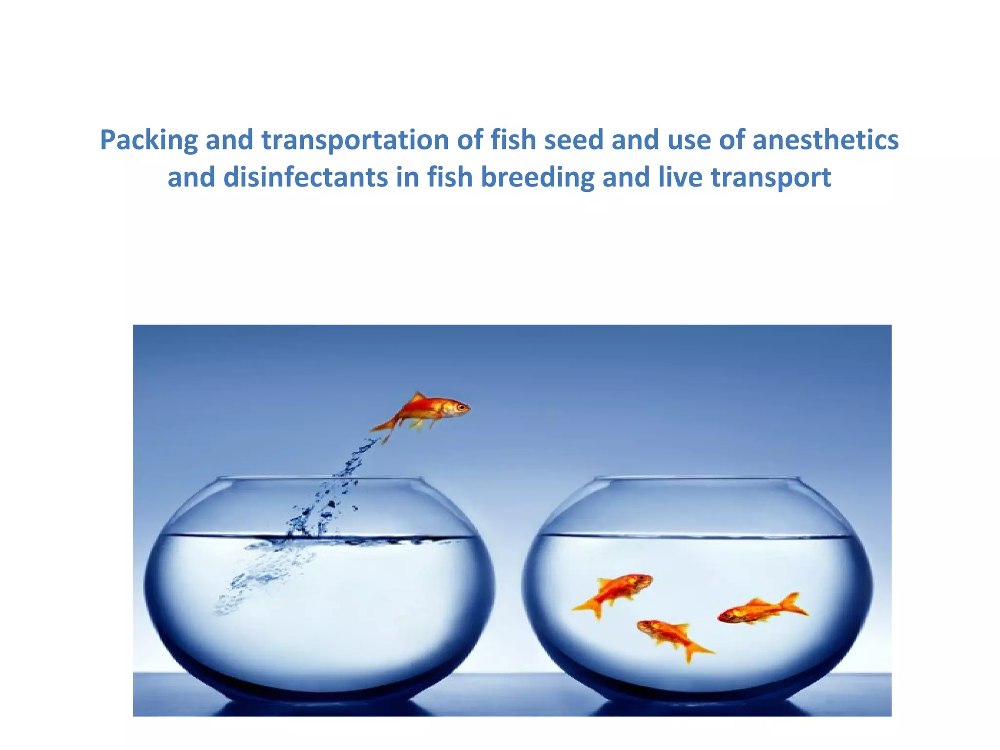 5.3 packing and transportation of fish seed | PPT