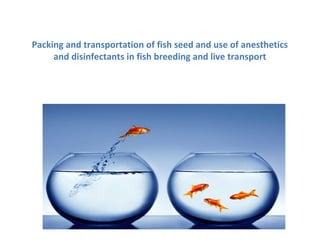5.3 packing and transportation of fish seed | PPT