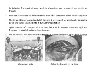 5.3 packing and transportation of fish seed | PPT