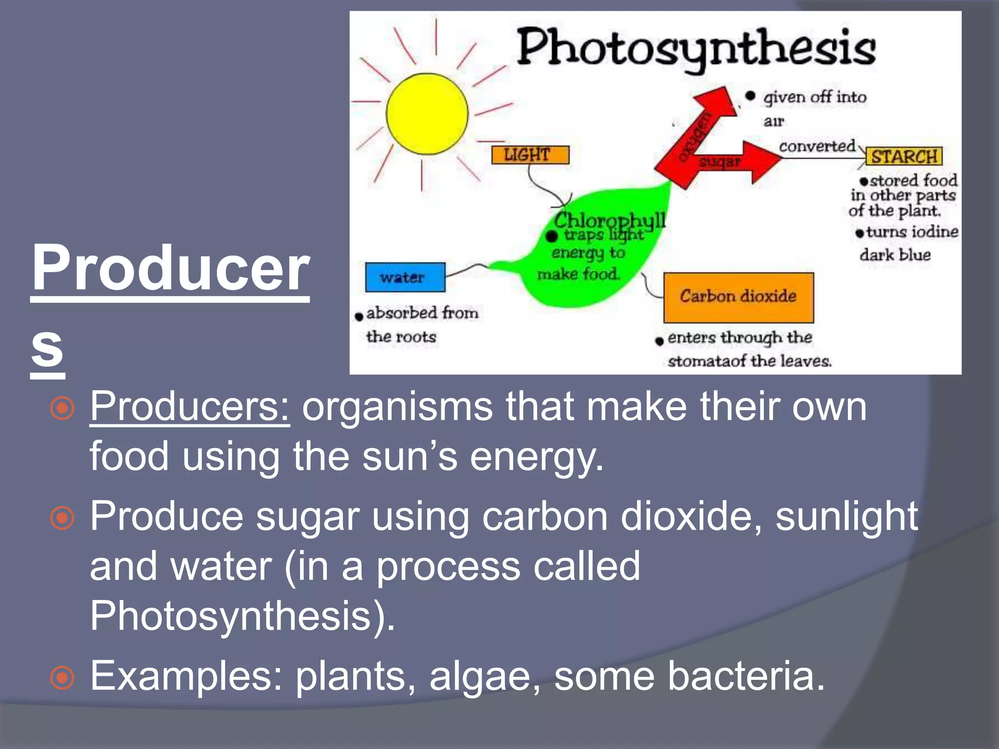 5. matter and energy chpt 4 power point | PPTX | Environment | Science