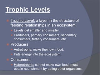 5. matter and energy chpt 4 power point | PPTX | Environment | Science