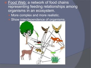 5. matter and energy chpt 4 power point | PPTX | Environment | Science