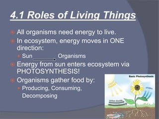 5. matter and energy chpt 4 power point | PPTX | Environment | Science
