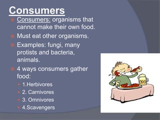 5. matter and energy chpt 4 power point | PPTX | Environment | Science