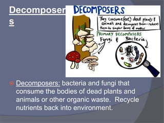 5. matter and energy chpt 4 power point | PPTX | Environment | Science