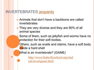 Invertebrates | PPTX | Fish and Aquariums | Pets