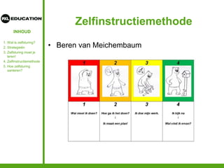 PPT omschrijving zelfsturing | PPTX