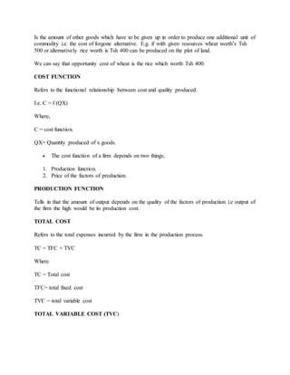 THE THEORY OF THE FIRM | DOCX