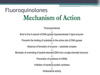 Quinolones | PPTX