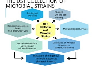 5. ust philippines | PDF