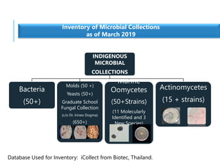 5. ust philippines | PDF