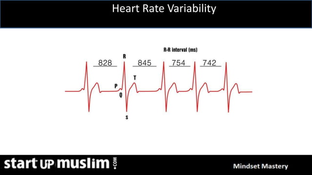 5. hrv -_heart_rate_variability | PPTX