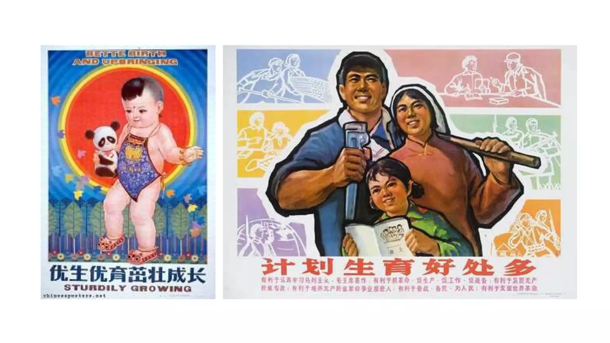 CAMBRIDGE AS GEOGRAPHY - CASE STUDY: CHINA'S ONE CHILD POLICY | PPTX