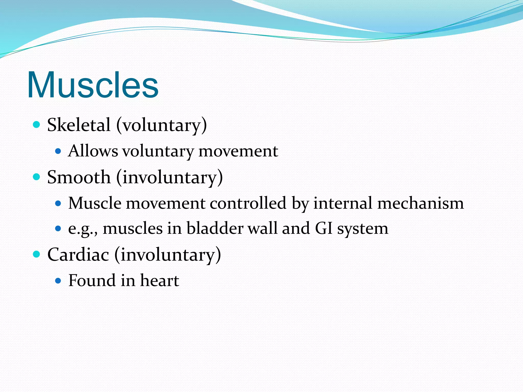 Musculoskeletal System Assessment & Disorders | PPTX
