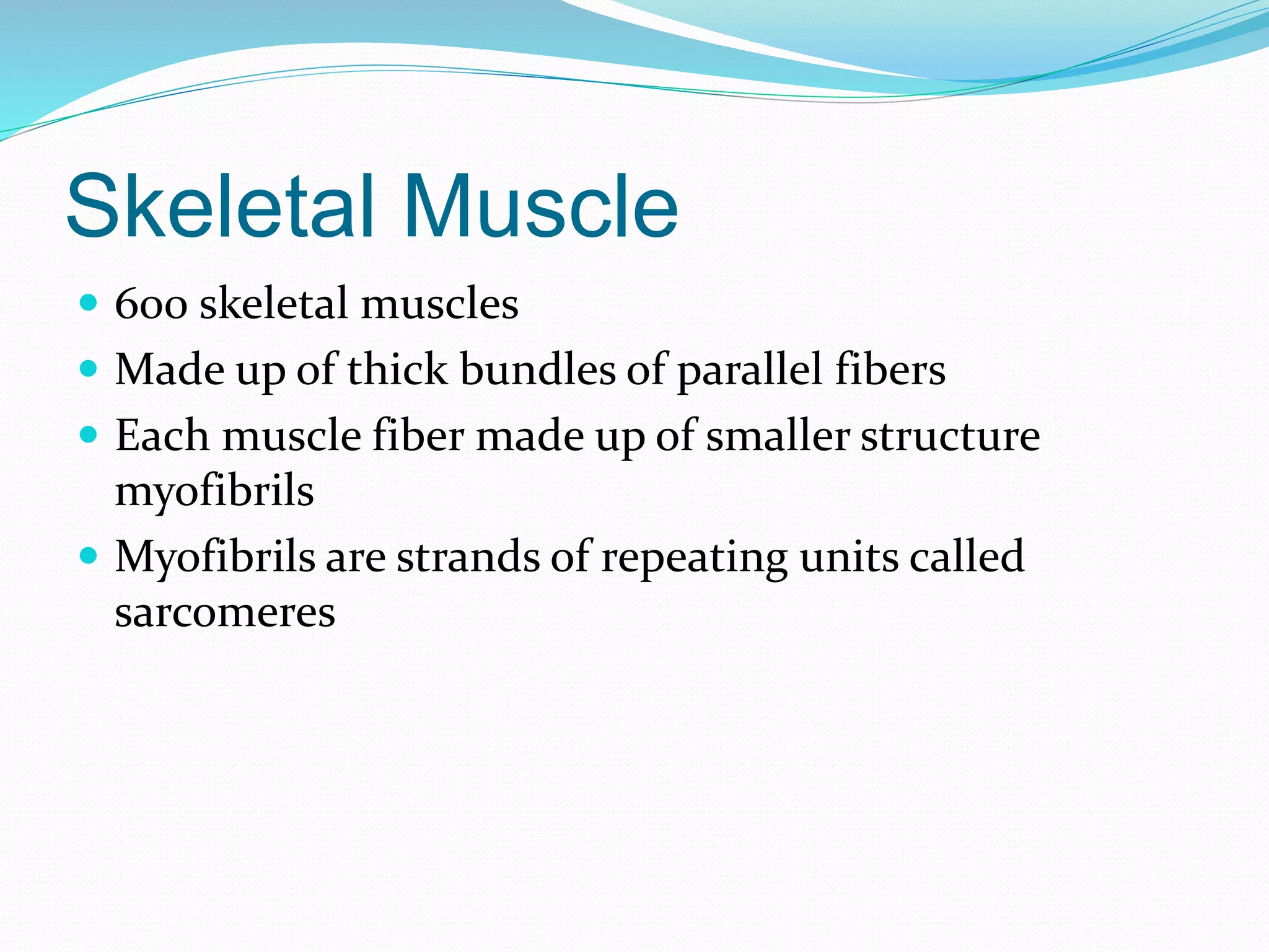 Musculoskeletal System Assessment & Disorders | PPTX