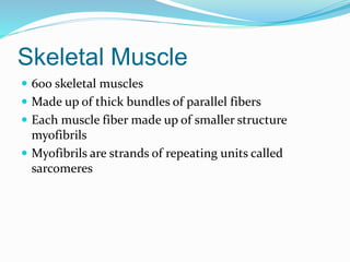 Musculoskeletal System Assessment & Disorders | PPTX