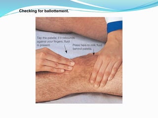 Musculoskeletal System Assessment & Disorders | PPTX