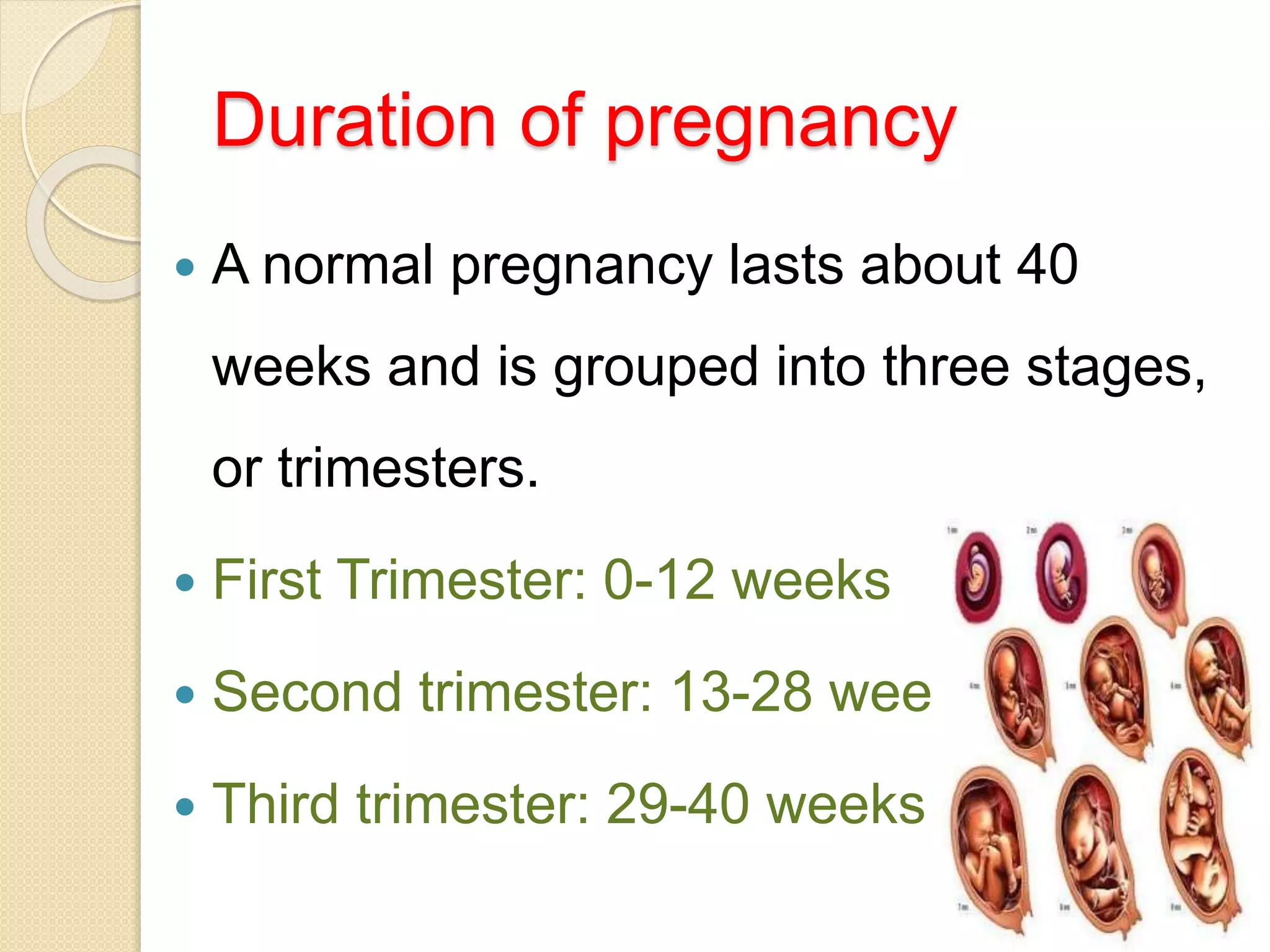 Physiological changes during pregnancy | PPTX