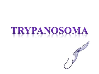 5. trypanosoma | PPTX
