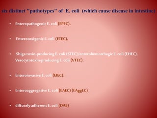 5. diarheal diseases of E.coli Dr. Mahadi H Abdallah | PPTX