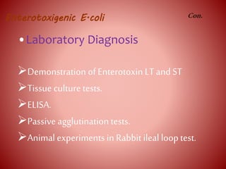 5. diarheal diseases of E.coli Dr. Mahadi H Abdallah | PPT