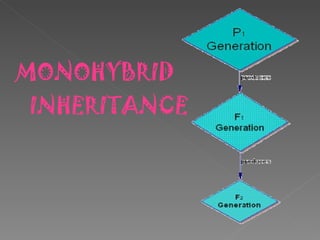 5.1 mendel's experiments | PPT