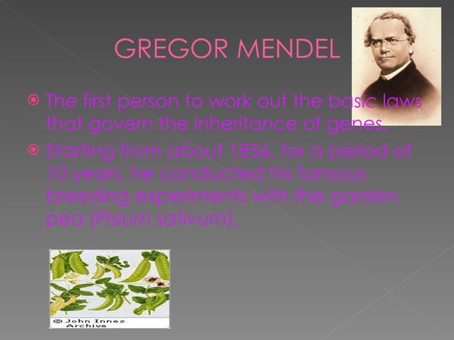 5.1 mendel's experiments | PPT | Gardening | Home & Garden